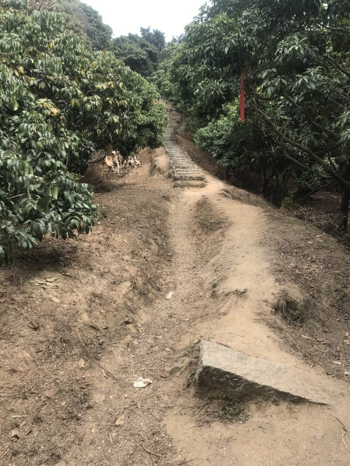 A Guide to Hiking in Shenzhen: Easy to Rigorous - Emmajean's Travels
